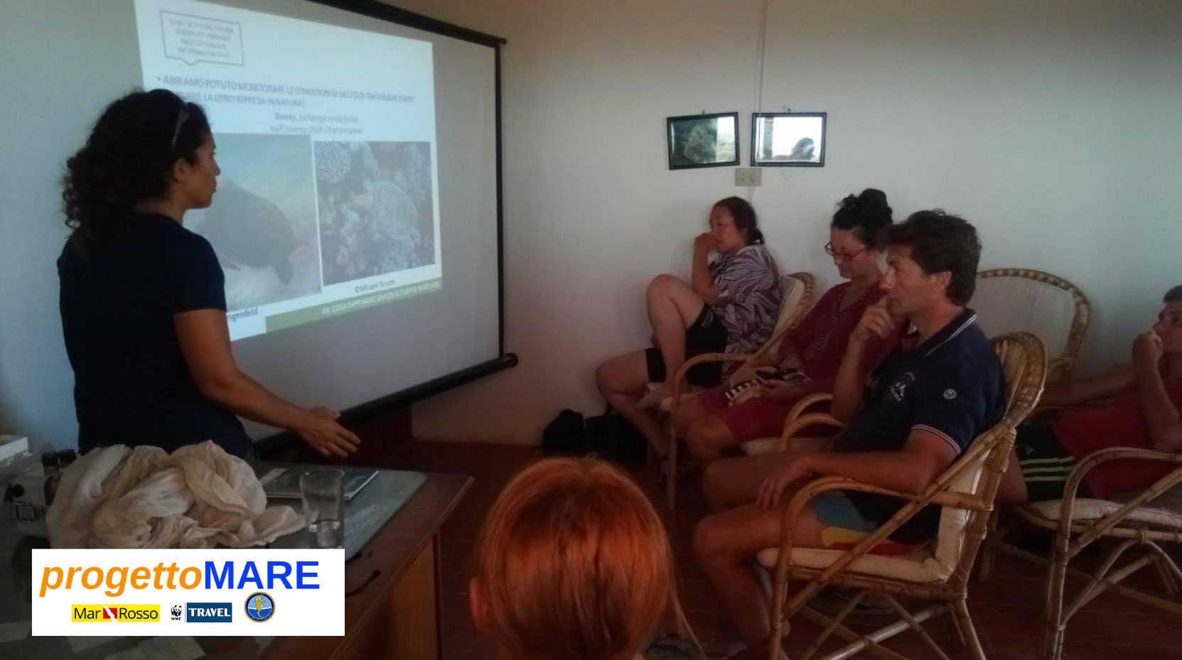 Educational project marine turtles of the Red Sea | Turtlewatch Egypt