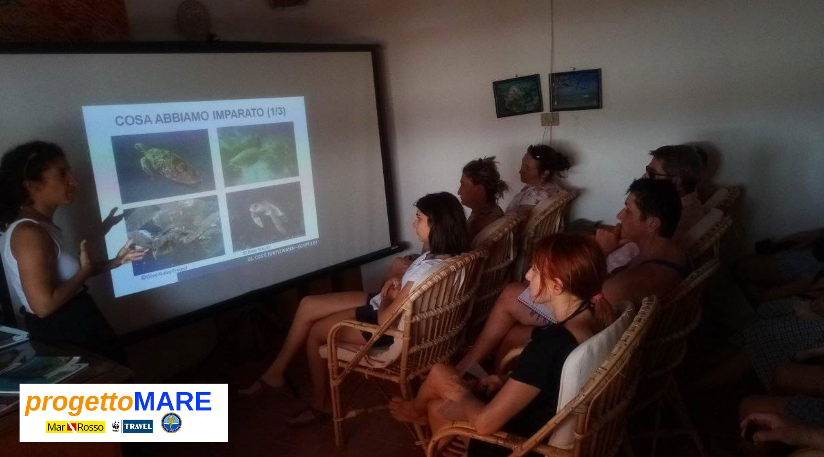 Educational project marine turtles of the Red Sea | Turtlewatch Egypt