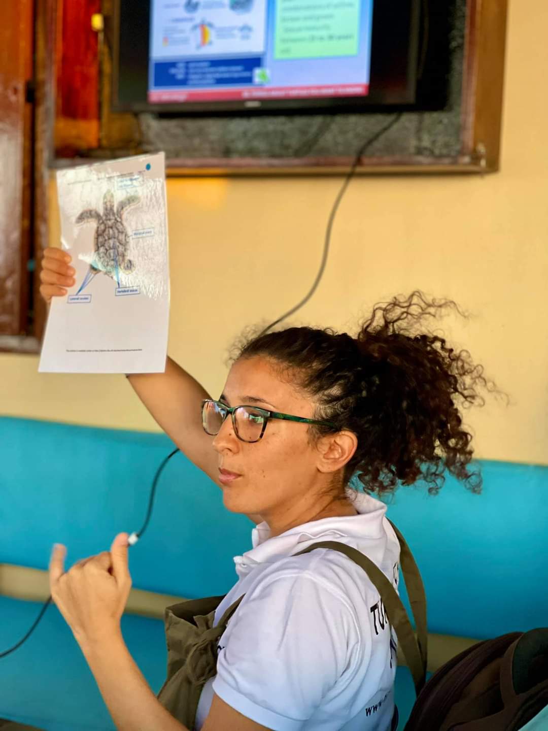 Educational project marine turtles of the Red Sea | Turtlewatch Egypt