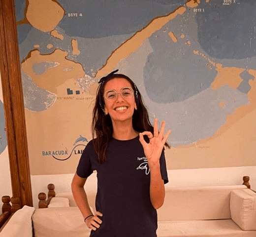 Marine turtles conservation project in the Red Sea | Turtlewatch Egypt